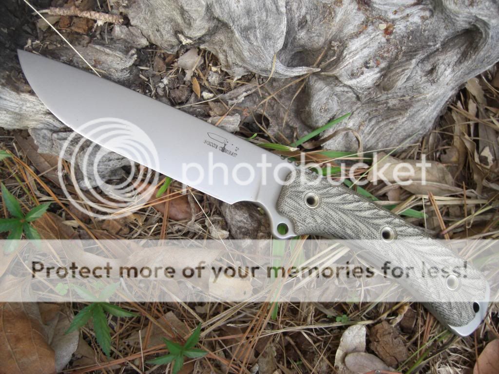 Busse SAR 6 for SAR 8 and others | BladeForums.com